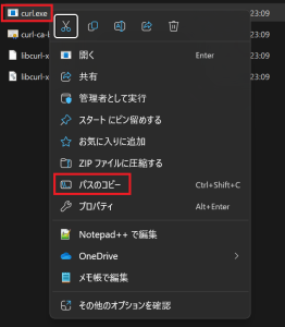 curl | Windows11におけるcurl利用までのフロー | shelokuma tech blog