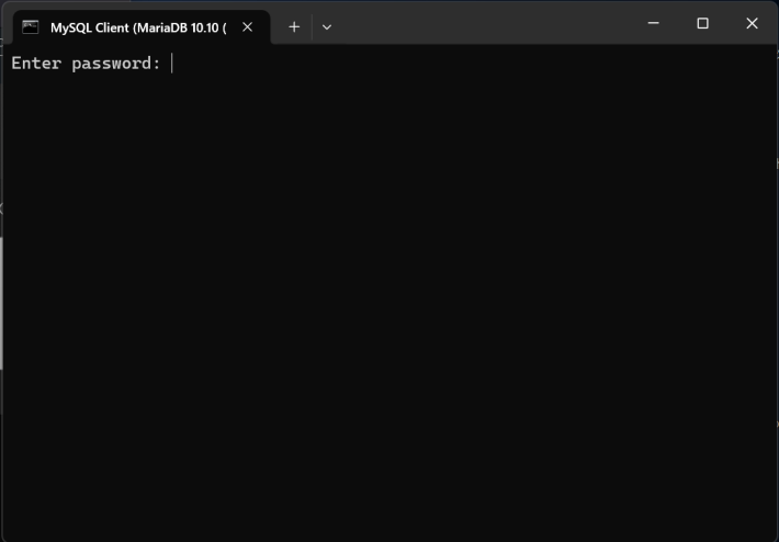 Python | 各種アプリのバージョン確認方法 | shelokuma tech blog